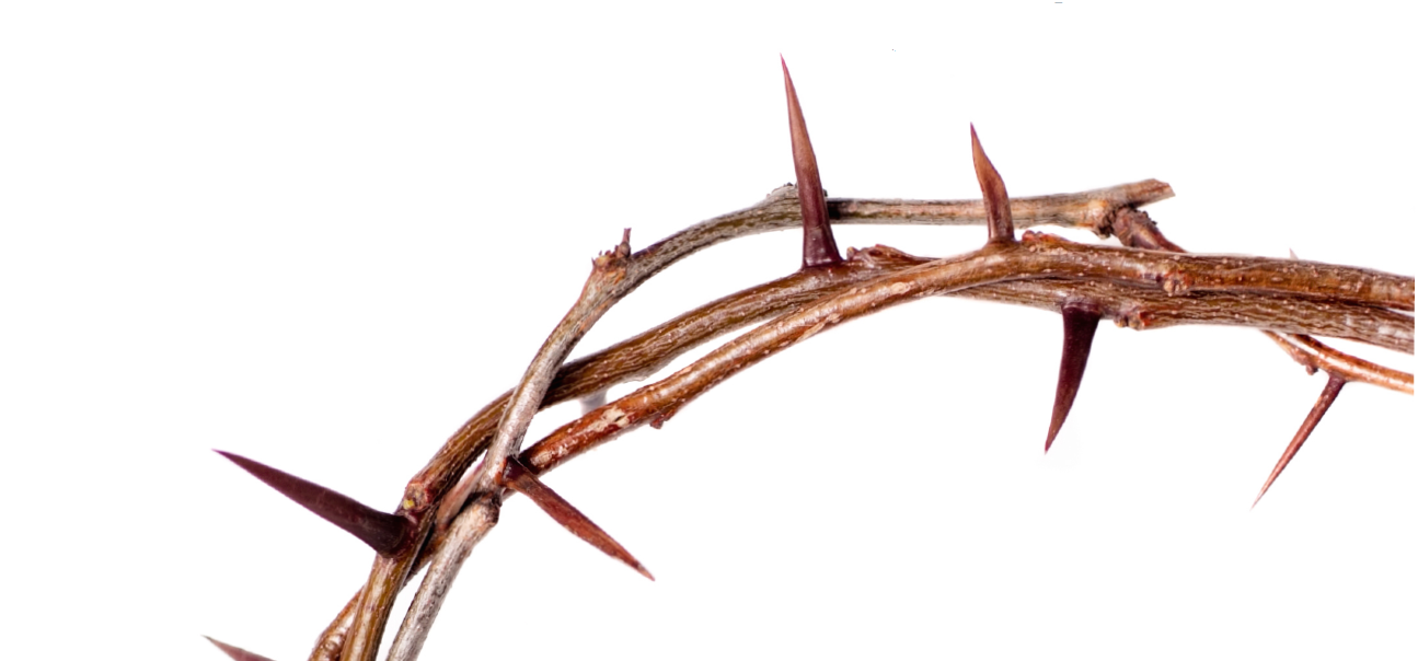 John 18: 1 - 27: Jesus in Control. | Gosford Presbyterian Church